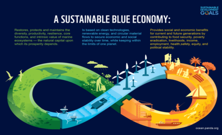 BLUE ECONOMY: AWARENESS, EDUCATION AND FINANCING - National Maritime ...