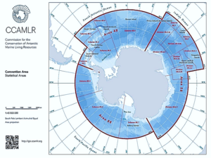 ASSESSING INDIA’S ROLE IN THE CONSERVATION OF THE MARINE BIOLOGICAL ...